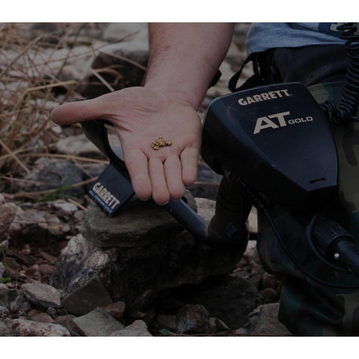 Garrett AT Gold Detector At Lowest Price Online [Free Pinpointer ...